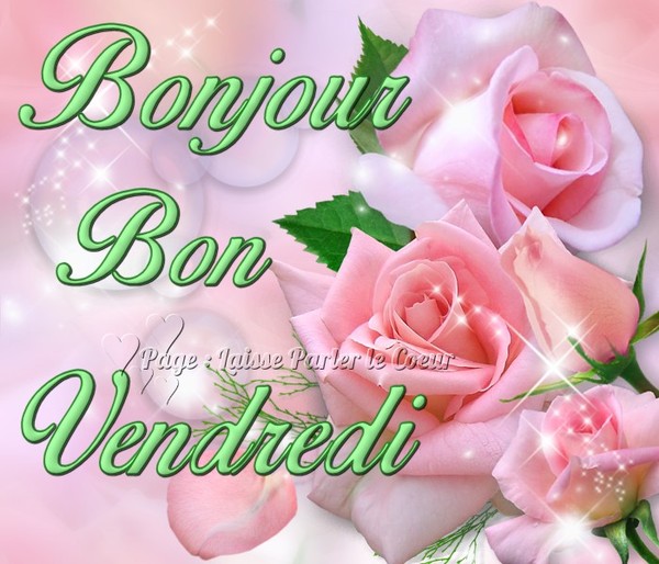 Bon Vendredi les ami(e)s Bon Vendredi les ami(e)s